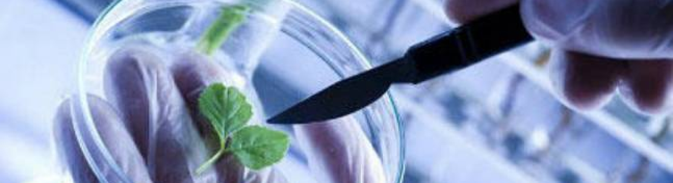 Manifold Bio Secures $15M in Series A R&D Tax Credit